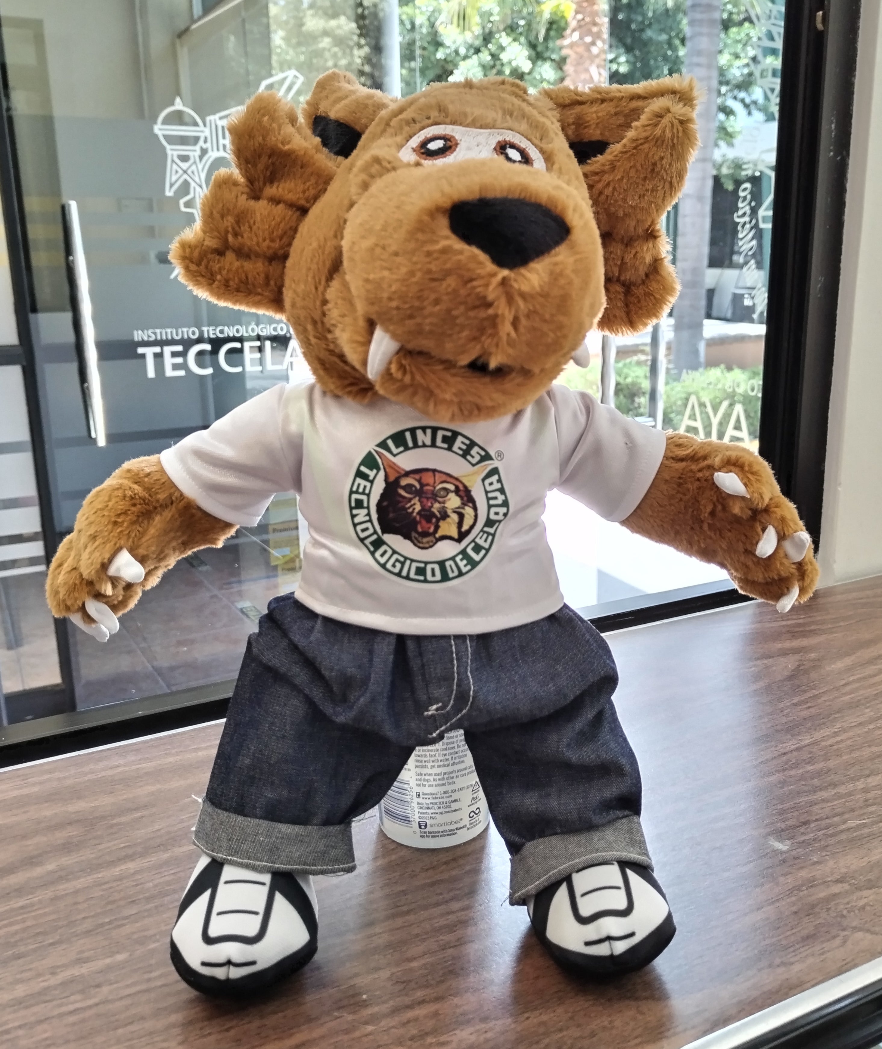 OUTFITS LINCES PELUCHE – Lince Store ITCelaya