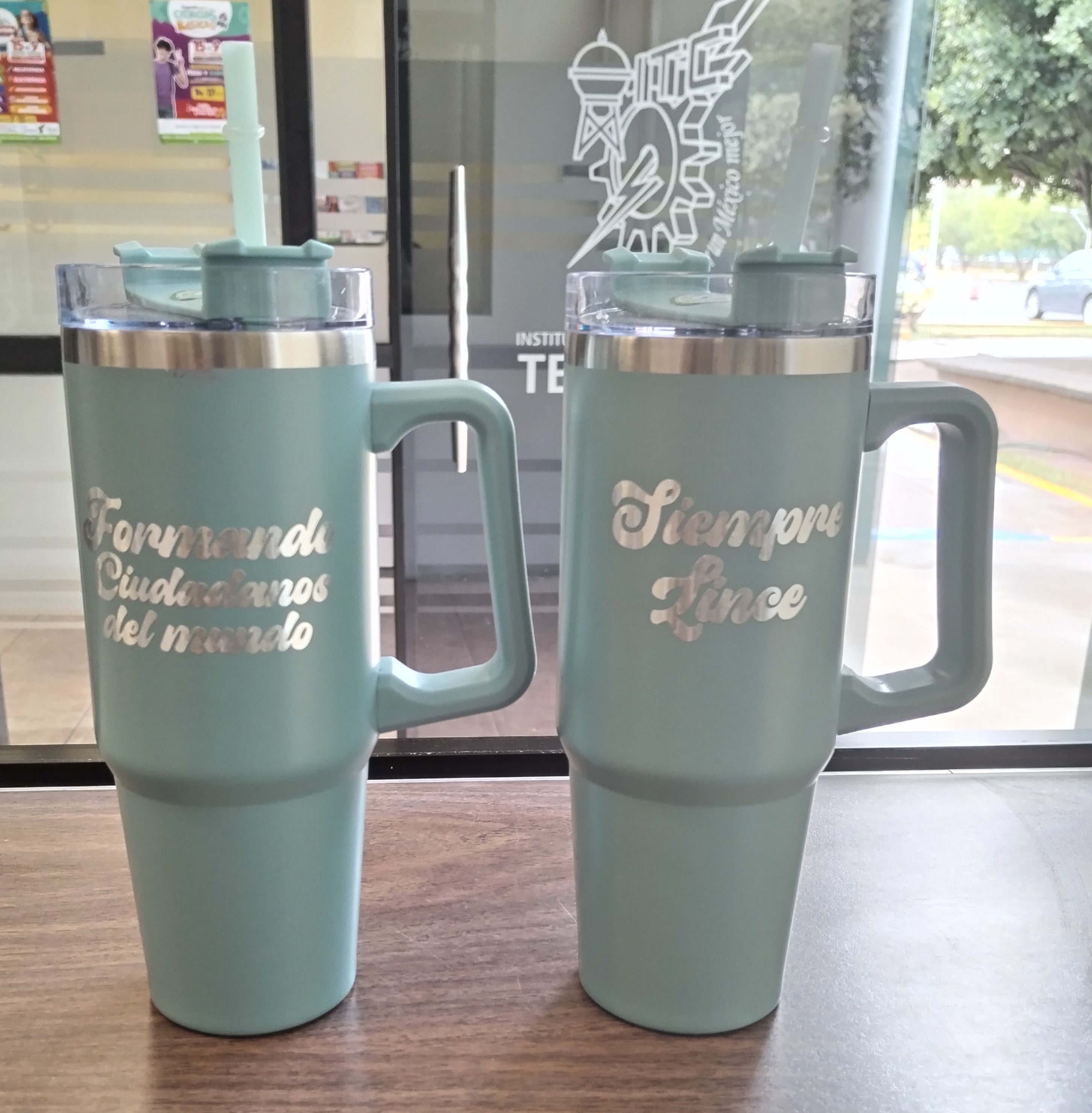 TERMO CON AGARRADERA VARIOS COLORES – Lince Store ITCelaya